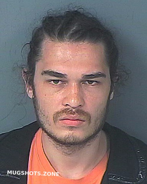 STOKES CODY ZACHARY 02/14/2025 - Hernando County Mugshots Zone