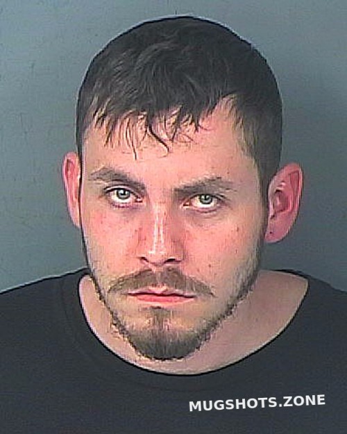 BURKE MICHAEL DWAYNE 02/16/2025 - Hernando County Mugshots Zone