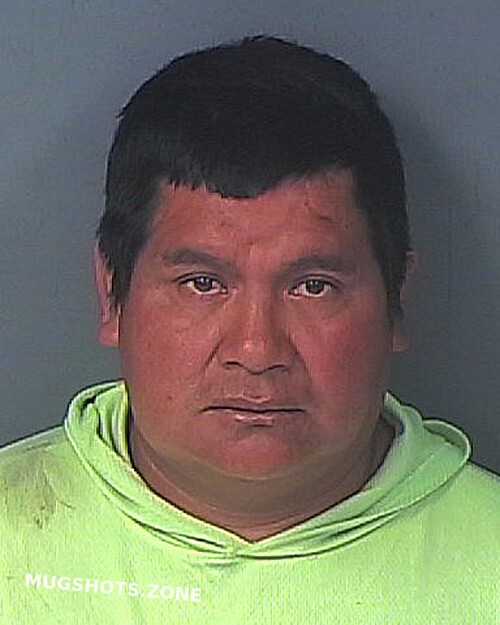 CABA GASPAR IJOM 02/20/2025 - Hernando County Mugshots Zone