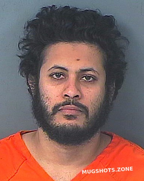 ALI KEVIN FABIAN 02/26/2025 - Hernando County Mugshots Zone