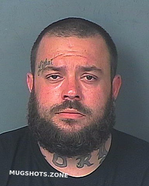 BIRT TREVOR ALLAN 03/01/2025 - Hernando County Mugshots Zone