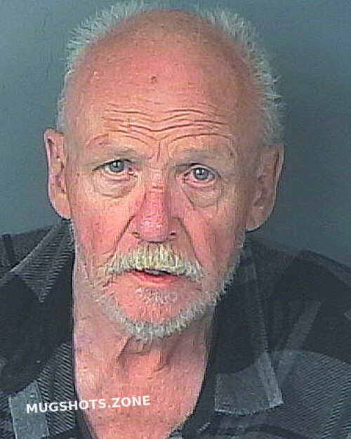 ADAMS BRUCE RAYMOND 03/01/2025 - Hernando County Mugshots Zone