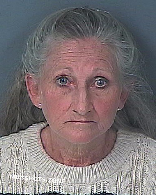 NOBLE CAROL ANN 03/04/2025 - Hernando County Mugshots Zone