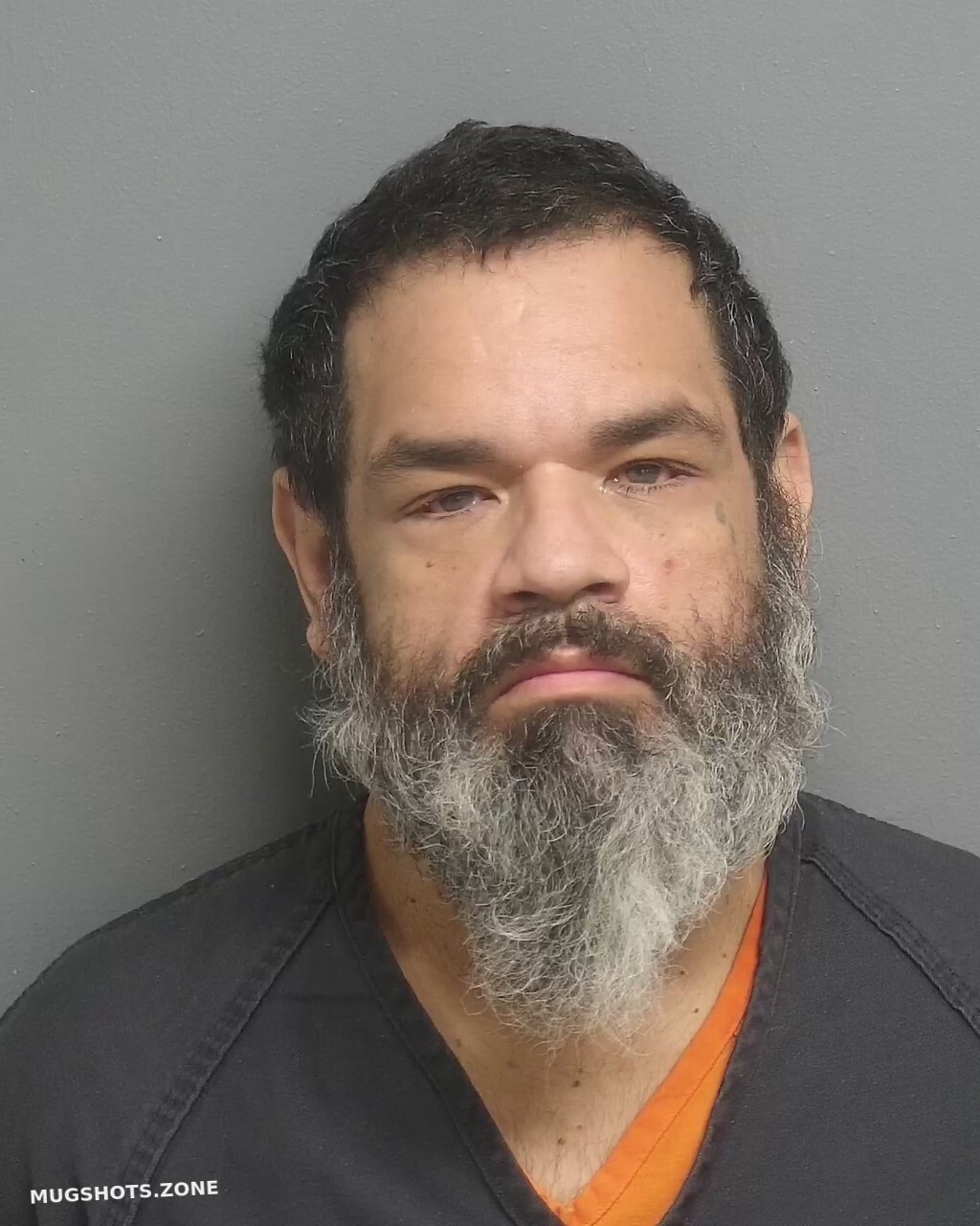 CRUZ DIAZ JOSE RAFAEL 03/04/2025 - Hernando County Mugshots Zone