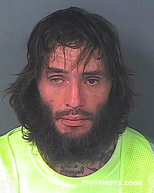 MURWIN JOSHUA ANDREW 03/04/2025 - Hernando County Mugshots Zone