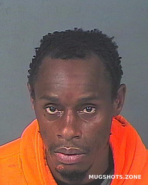 GAYNOR JOSHUA NICHOLAS 03/07/2025 - Hernando County Mugshots Zone