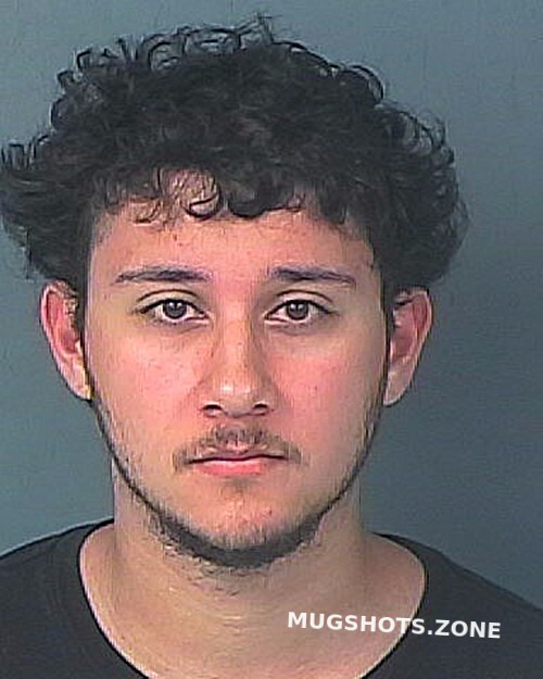 MCDOUGALL CALEB RYAN 03/08/2025 - Hernando County Mugshots Zone