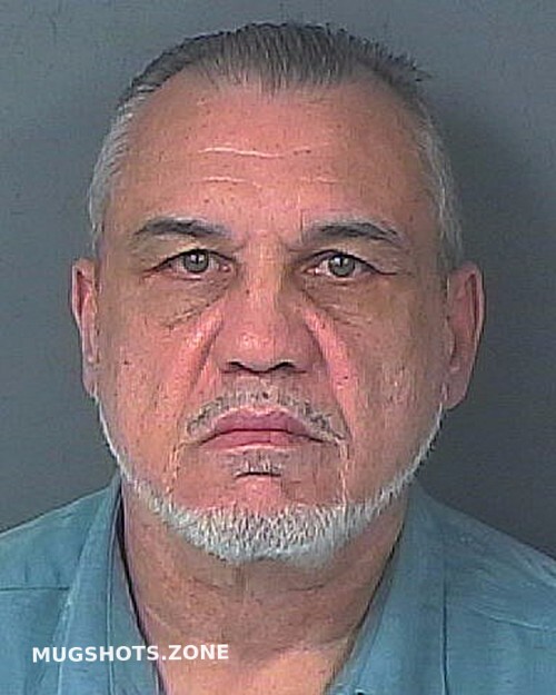 LLOVET LOUIS PATRICK 03/10/2025 - Hernando County Mugshots Zone