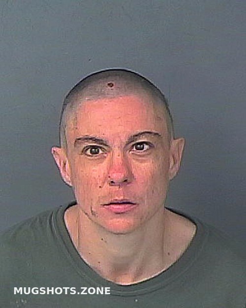 PATCHELL HEATHER LYNN 03/13/2025 - Hernando County Mugshots Zone