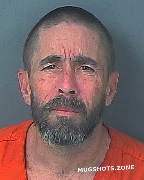 WELLS KENNETH ERIC 03/14/2025 - Hernando County Mugshots Zone