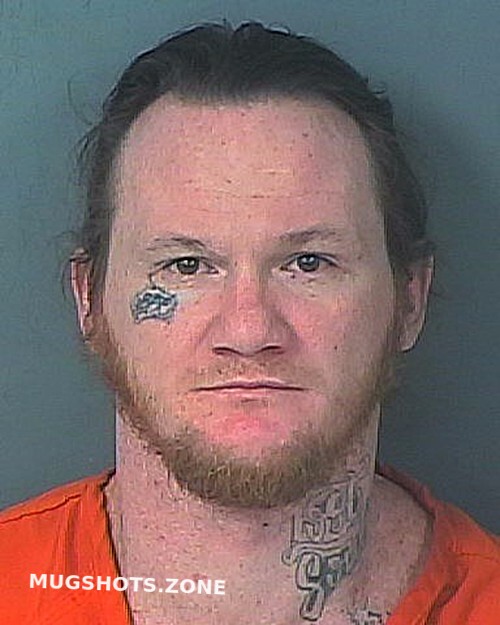 DAUBERT DAVID JOSEPH 03/14/2025 - Hernando County Mugshots Zone