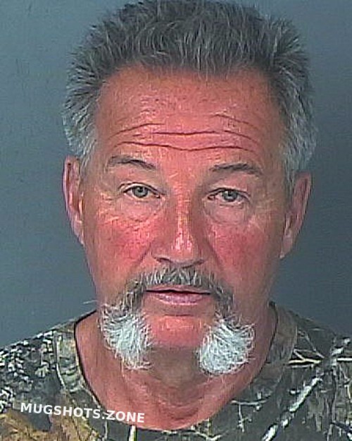 HOLT JAMES HOWARD 03/15/2025 - Hernando County Mugshots Zone