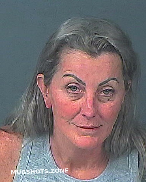 SIMMONS LAURA 03/16/2025 - Hernando County Mugshots Zone