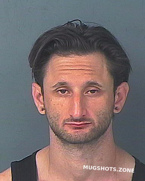 BACCHI JONATHAN JOSEPH ALEXANDE 03/19/2025 - Hernando County Mugshots Zone