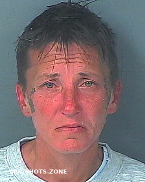 LOFTIN SALLY RENEE 03/21/2025 - Hernando County Mugshots Zone
