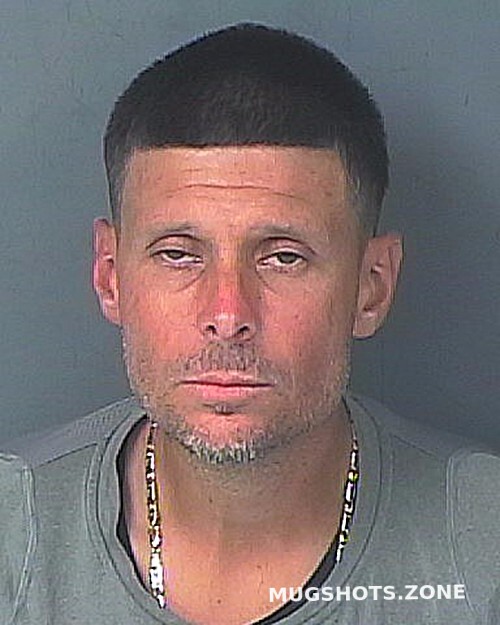 DIAZ BRANDON AUGUSTINE 03/21/2025 - Hernando County Mugshots Zone