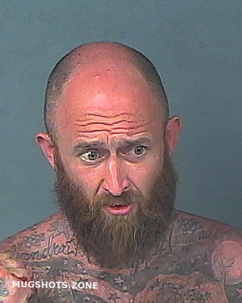 ROXBURGH IAN 04/04/2025 - Hernando County Mugshots Zone