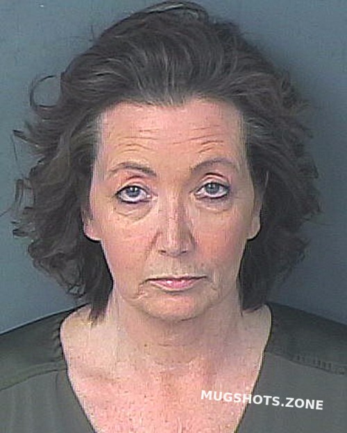 NOLAN COLLEEN MARIE 04/04/2025 - Hernando County Mugshots Zone