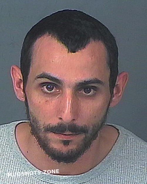 QUEEN TYLER REGINALD-BENNET 04/07/2025 - Hernando County Mugshots Zone