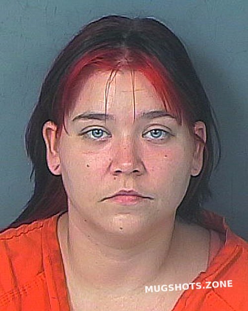 DUPREE REBECCA LEE 04/08/2025 - Hernando County Mugshots Zone