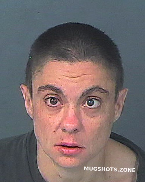 PATCHELL HEATHER LYNN 04/08/2025 - Hernando County Mugshots Zone