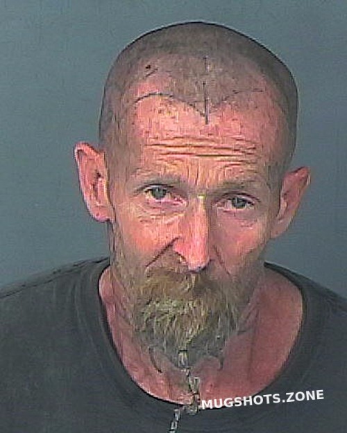 SMART DANIEL WAYNE 04/10/2025 - Hernando County Mugshots Zone
