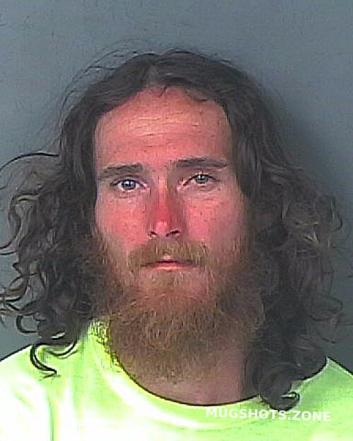 GORDON MARK DILLAN 04/11/2025 - Hernando County Mugshots Zone