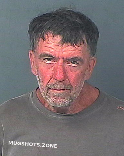 RAU ALLAN JOHN 04/12/2025 - Hernando County Mugshots Zone