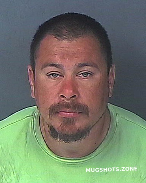WILLIAMSON MICHAEL LEE 04/14/2025 - Hernando County Mugshots Zone