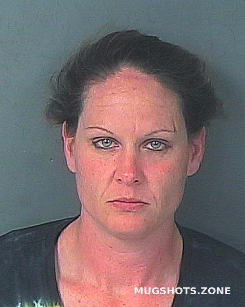 GORDON AMBER SHONN 04/15/2025 - Hernando County Mugshots Zone