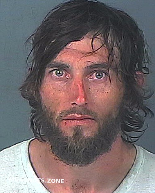 POE CHARLES WAYNE 04/15/2025 - Hernando County Mugshots Zone