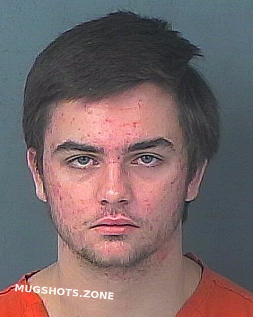 SPRINGSTON ROBERT BRYCE 04/16/2025 - Hernando County Mugshots Zone