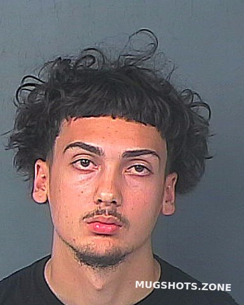 RODRIGUEZ DEVIN 04/18/2025 - Hernando County Mugshots Zone