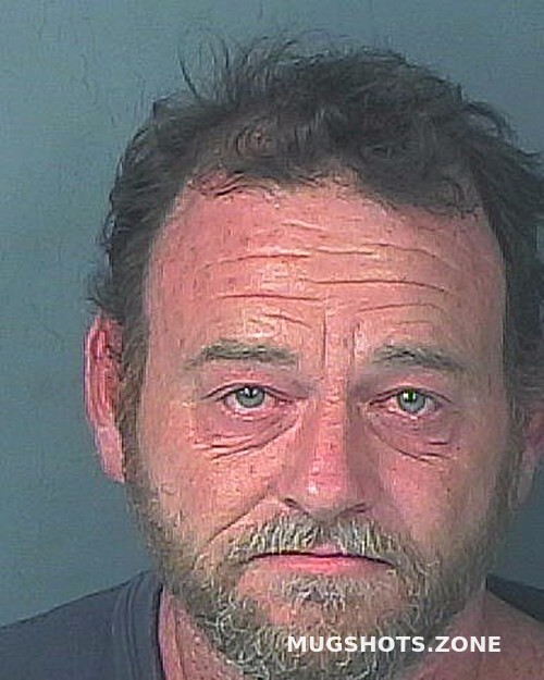WILEY MICHAEL ANTHONY 04/24/2025 - Hernando County Mugshots Zone