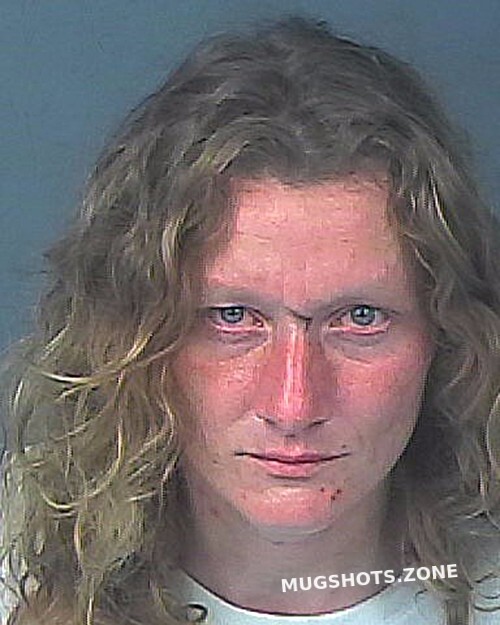 WHITE DIXIE LEE 04/26/2025 - Hernando County Mugshots Zone