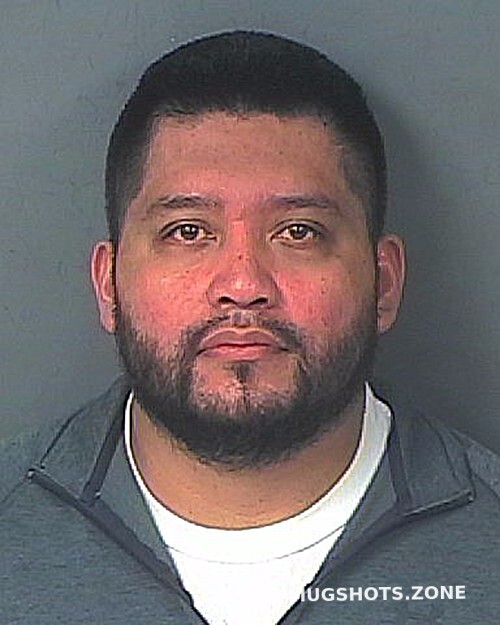 LOPEZ RAMIREZ ADISON DANIEL 05/01/2025 - Hernando County Mugshots Zone