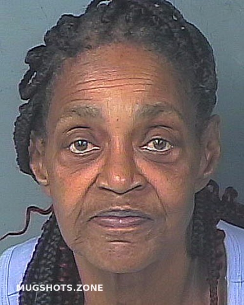 STEWART PATRICIA ANN 05/01/2025 - Hernando County Mugshots Zone