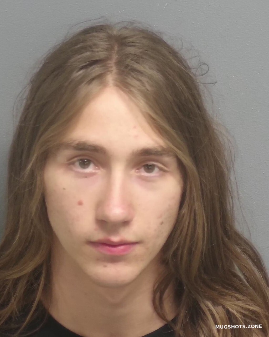 CORBIN THEODORE WESLEY 05/02/2025 - Hernando County Mugshots Zone