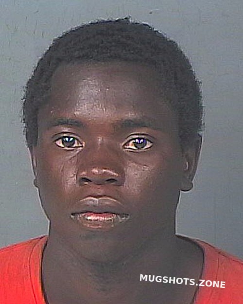 HUNTER ERIC JAMES 05/08/2025 - Hernando County Mugshots Zone