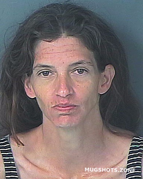 COOK AMANDA 05/13/2025 - Hernando County Mugshots Zone