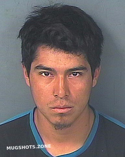 RUIZ ROJAS DAVID 05/16/2025 - Hernando County Mugshots Zone