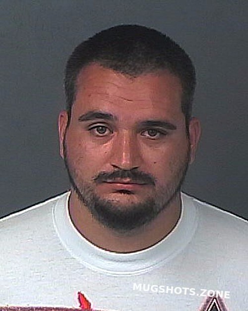 BICKFORD DOMINIC 05/17/2025 - Hernando County Mugshots Zone