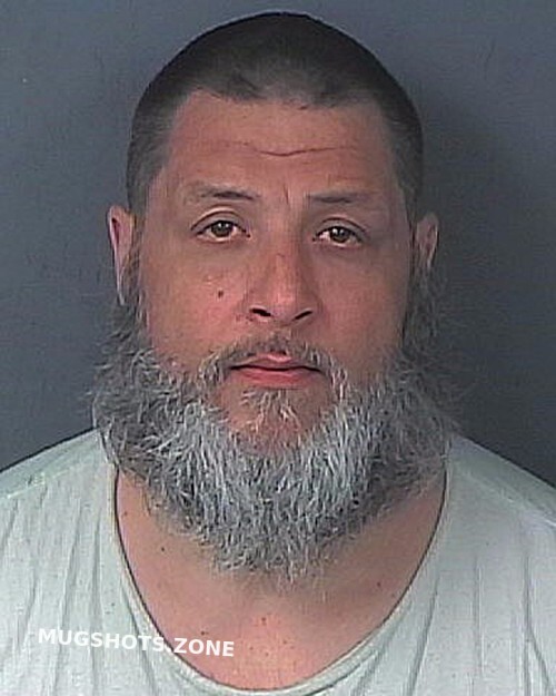 KING DAVID FREDERICK LEE 05/23/2025 - Hernando County Mugshots Zone