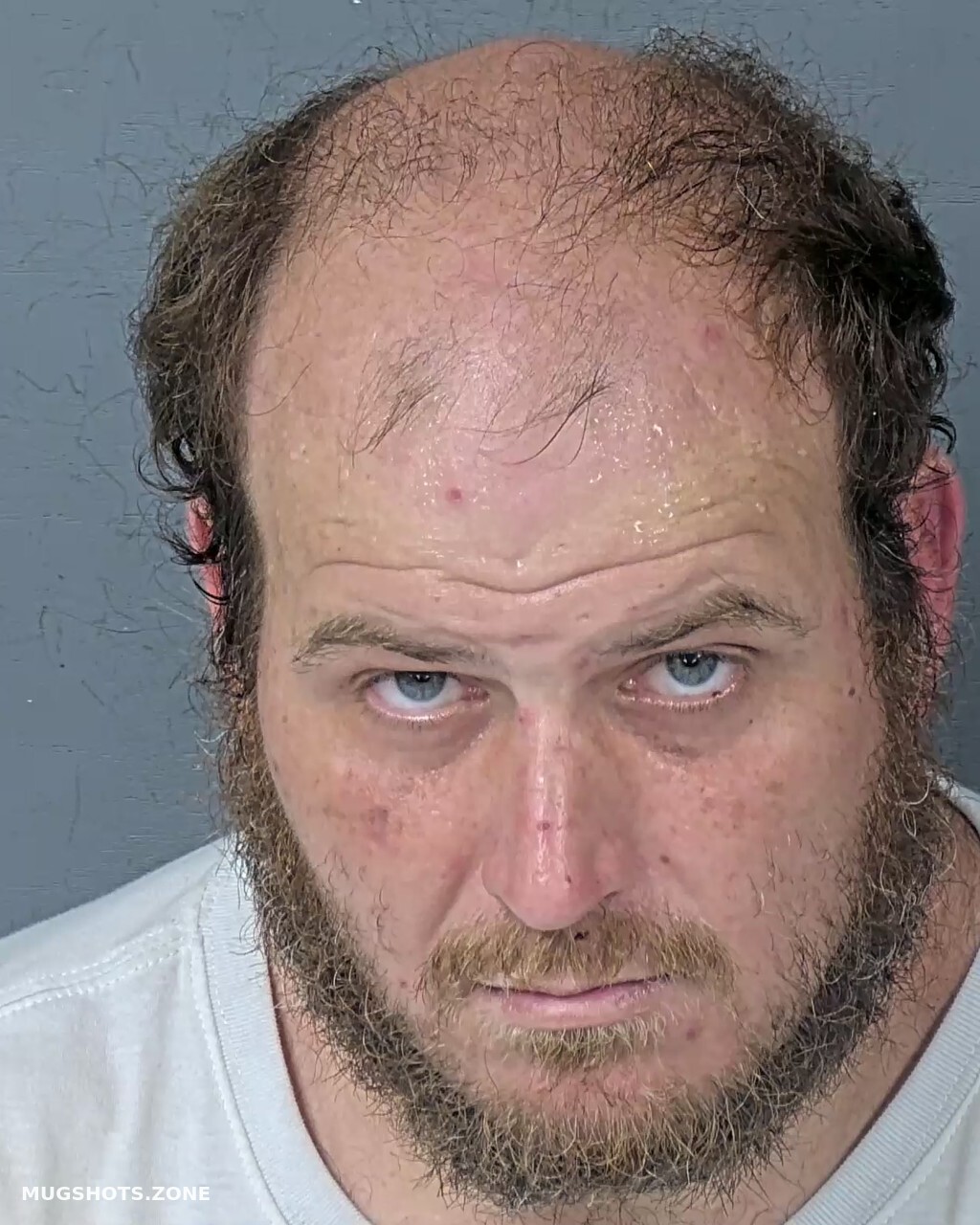 HOLZAEPFEL NATHAN DANIEL 06/01/2025 - Hernando County Mugshots Zone