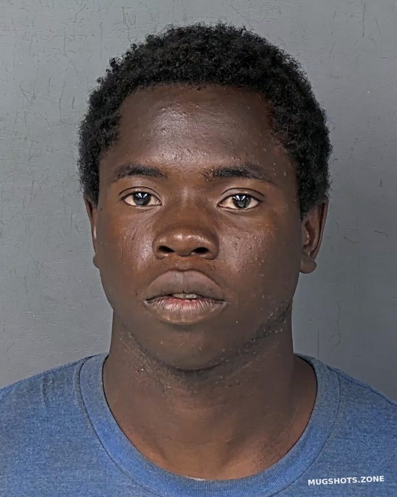HUNTER ERIC JAMES 06/03/2025 - Hernando County Mugshots Zone