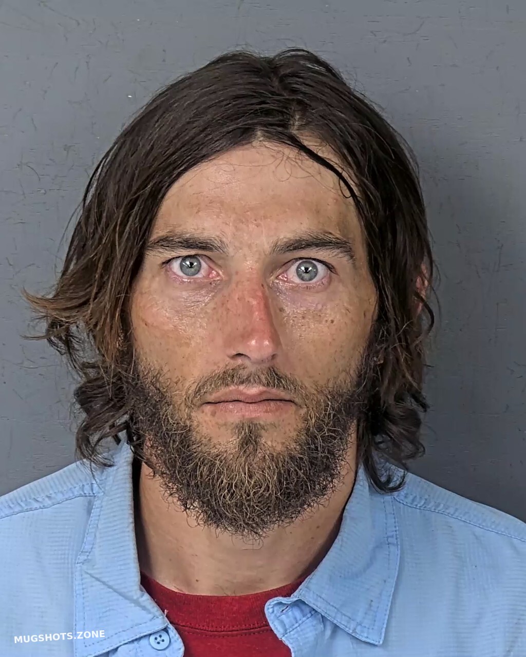 POE CHARLES WAYNE 06/03/2025 - Hernando County Mugshots Zone