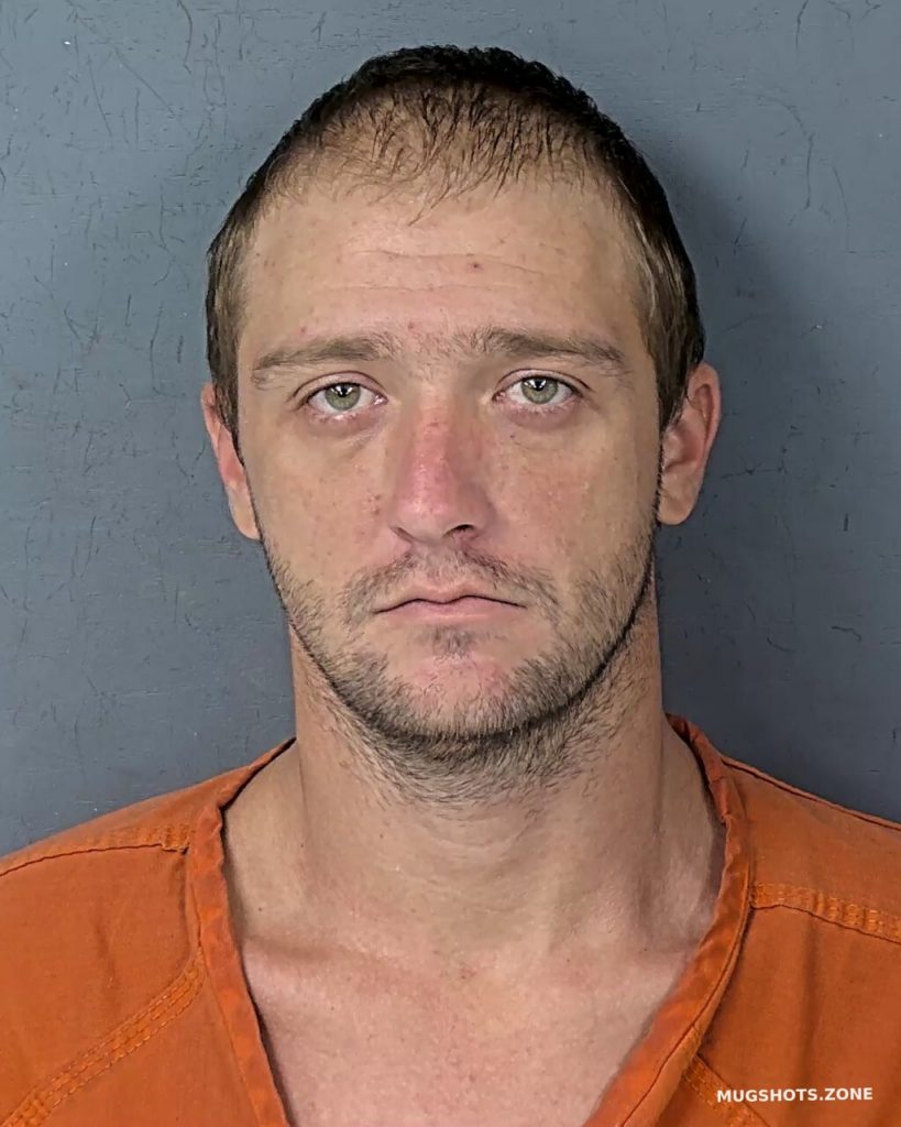 JARVIS WILLIAM GEORGE 06/03/2025 - Hernando County Mugshots Zone