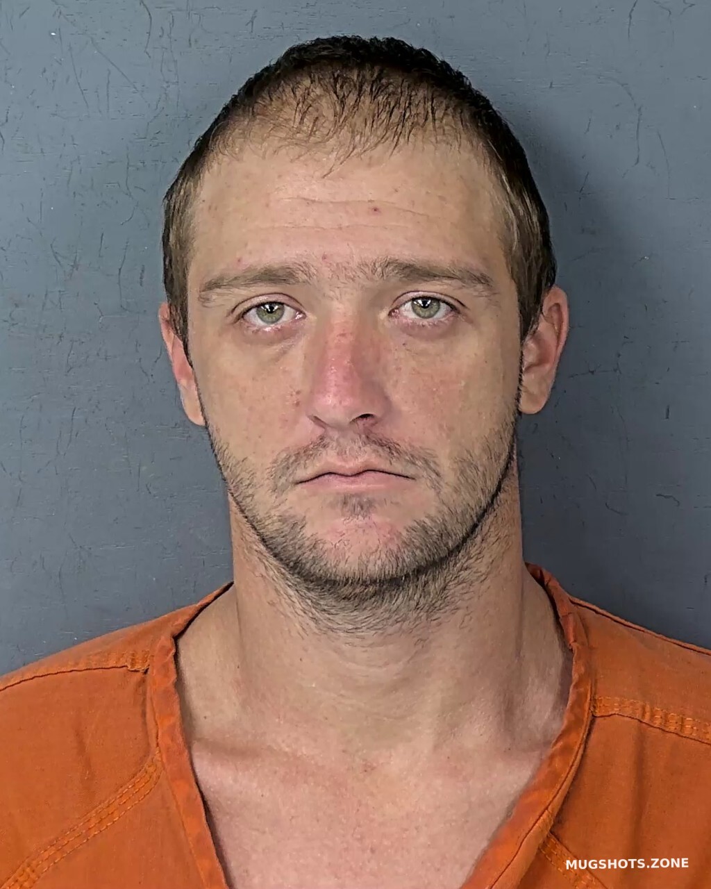 JARVIS WILLIAM GEORGE 06/03/2025 - Hernando County Mugshots Zone