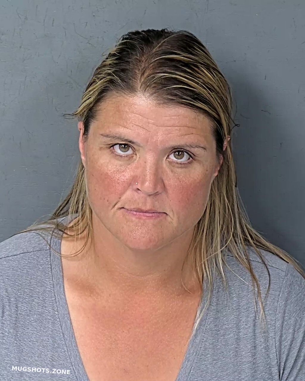 WILLIAMS HEIDI LEE 06/03/2025 - Hernando County Mugshots Zone