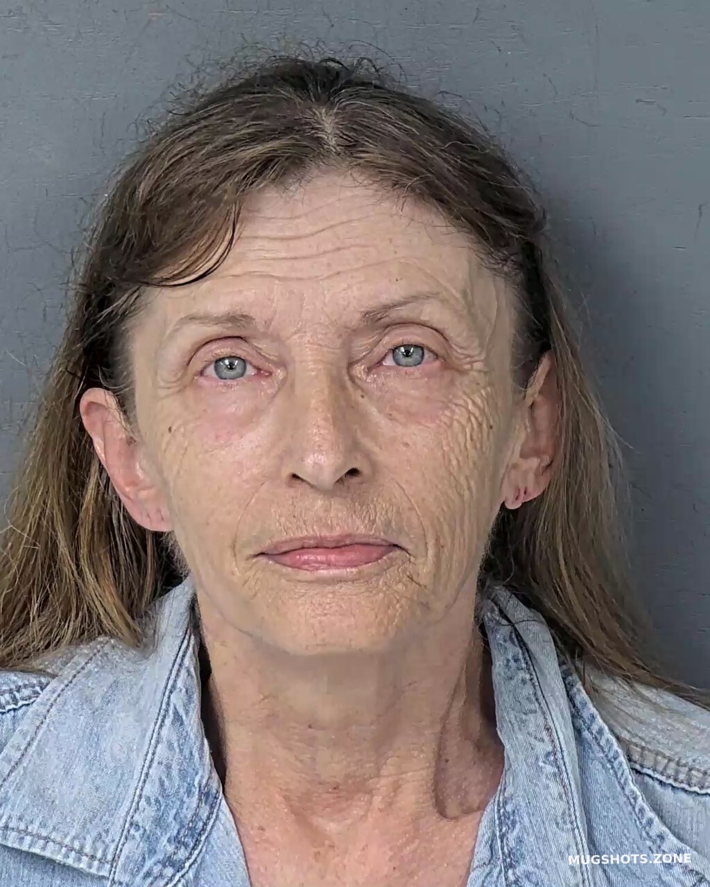 HORMERTE CELIA ANN 06/05/2025 - Hernando County Mugshots Zone